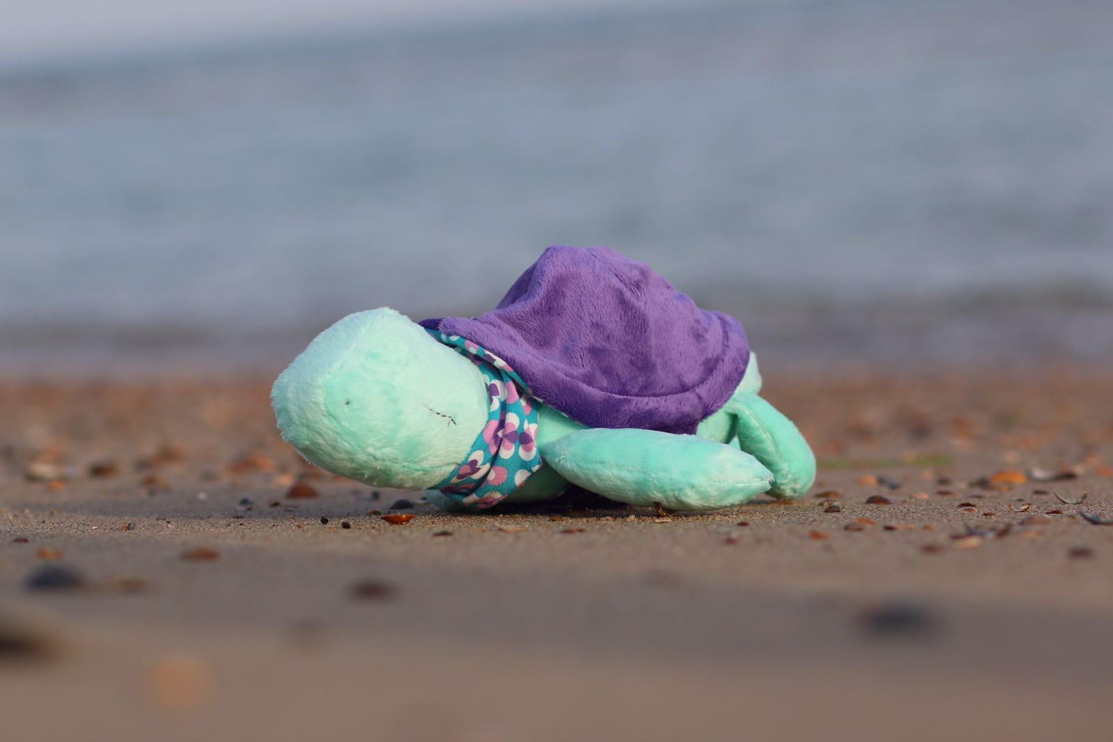 ebook Thea Turtle - Kuscheltier Schildkröte – monstabella.de